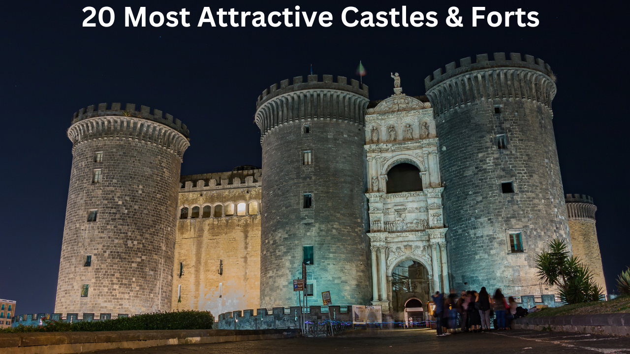 World Heritage Sites – Nature, Creatures And Herbs